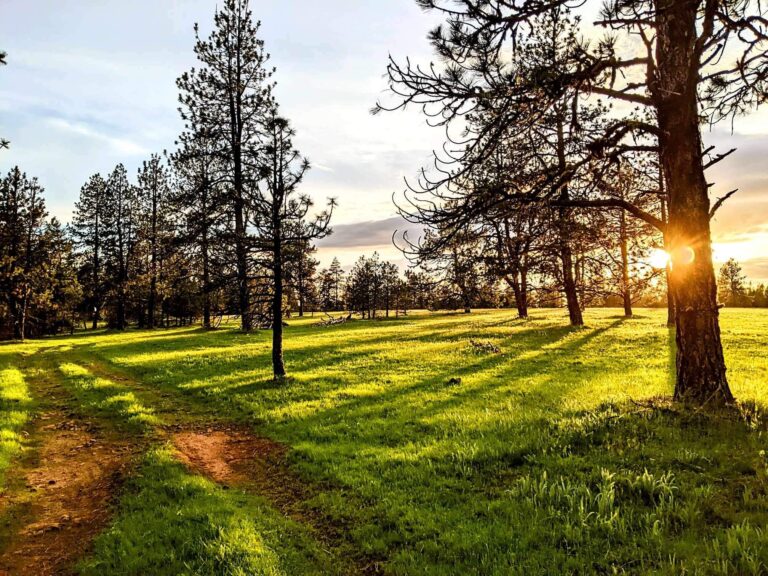 Union County Sheriff's Office - Oregon