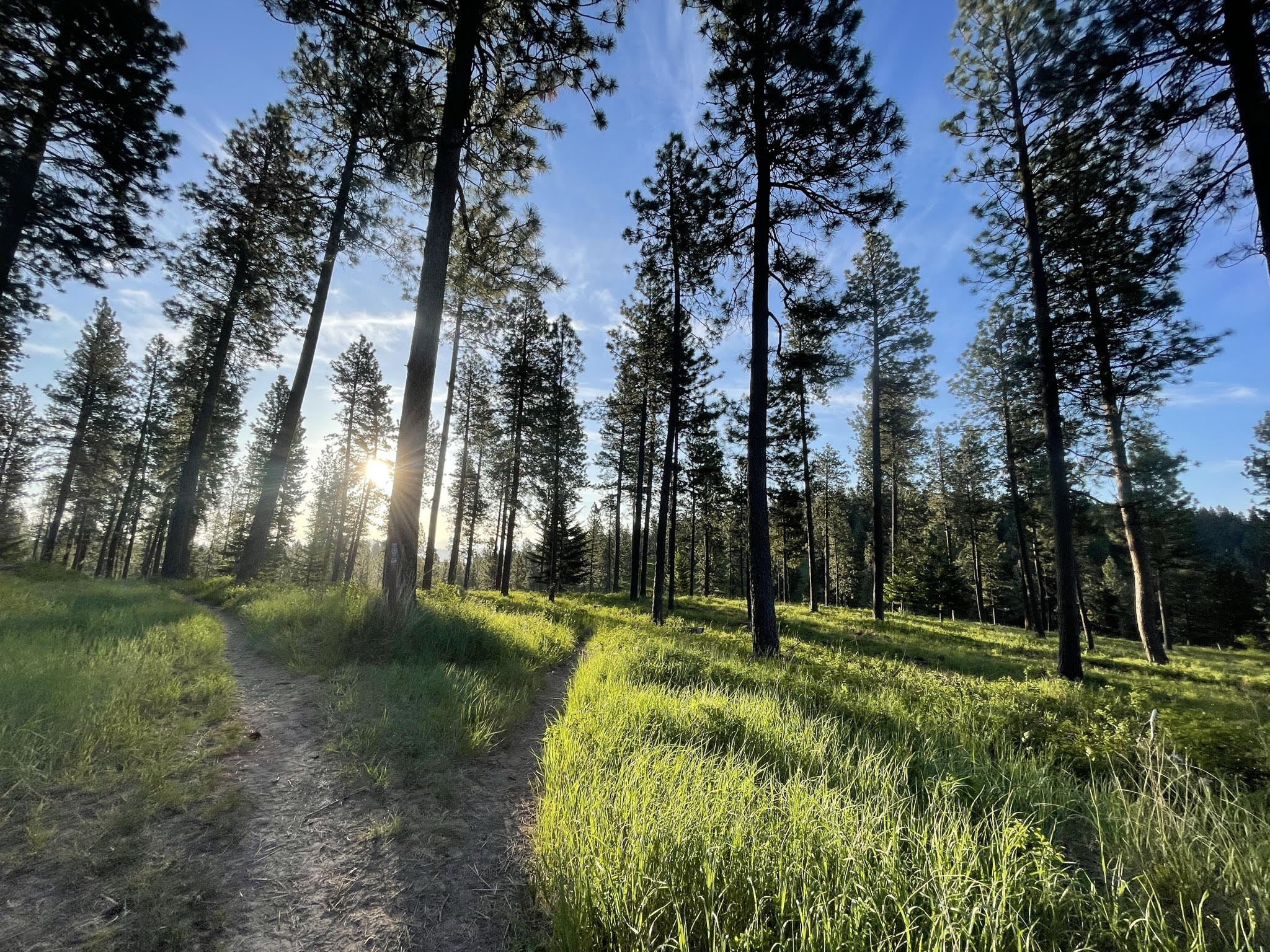 Forest Patrol - Union County Sheriff's Office